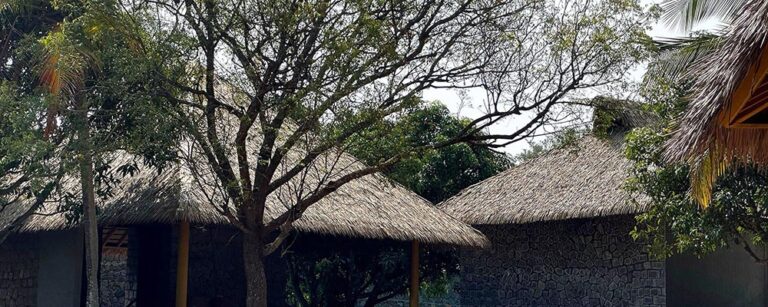 Synthetic Thatch Roofing Materials - NIPA Thatch Palma Sintética